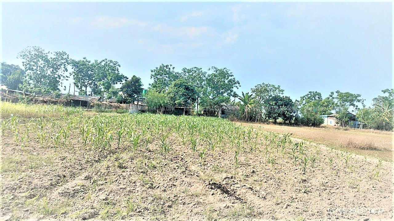 Land 8 Kaththa with free house on sell at Bharatpur-15, Fulbari ...